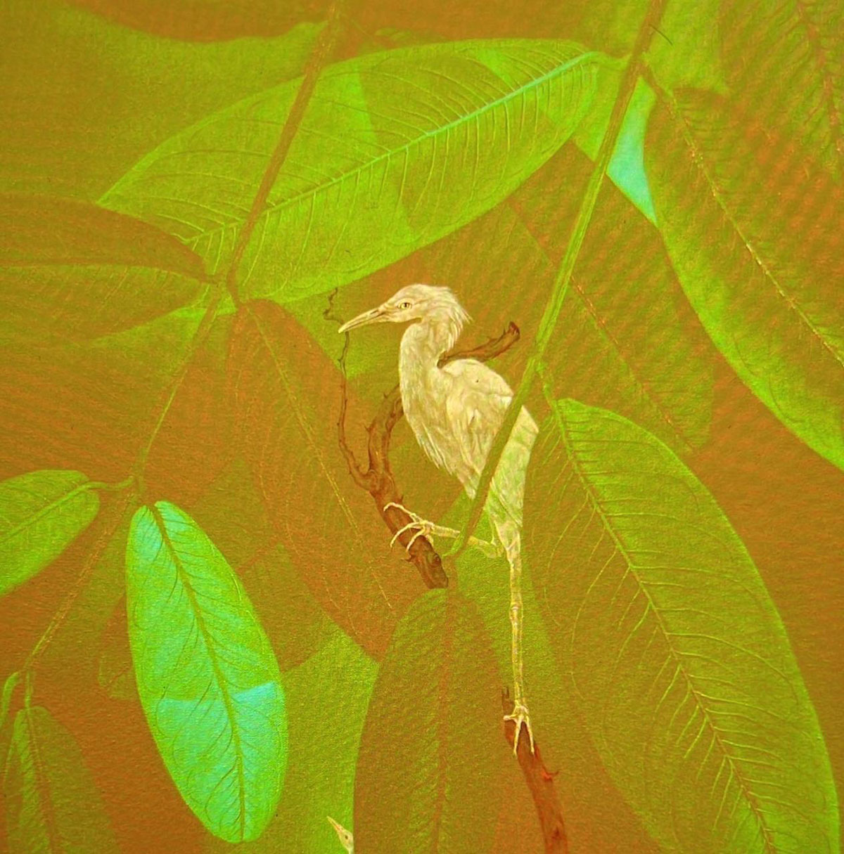 CPAA's Colours Of Life 2024: 20 years of Caring with Compassion: Online ...